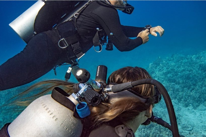 Serba Serbi Menyelam (Untuk Pemula) - Garmin Blog