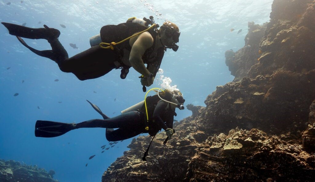 Serba Serbi Menyelam (Untuk Pemula) - Garmin Blog